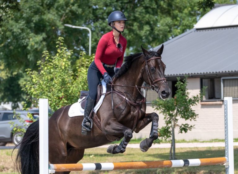 Your Top 10 Burning Questions About Rider Position, Answered! - Ridely