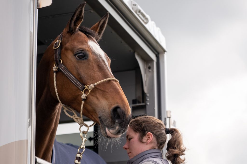 Ridely - The #1 App For Equestrians To Improve Your Riding