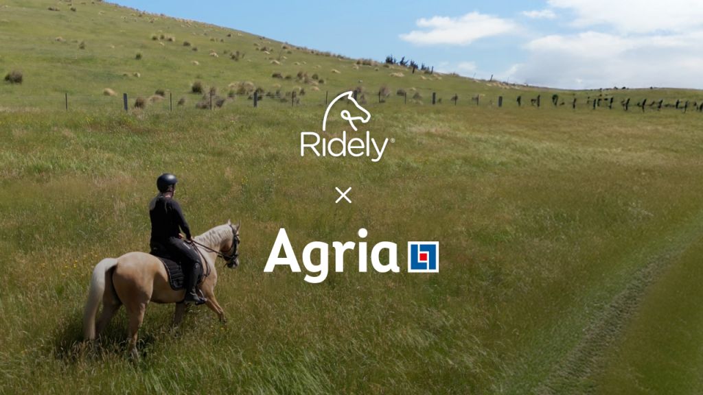 Your Top 10 Burning Questions About Rider Position, Answered! - Ridely