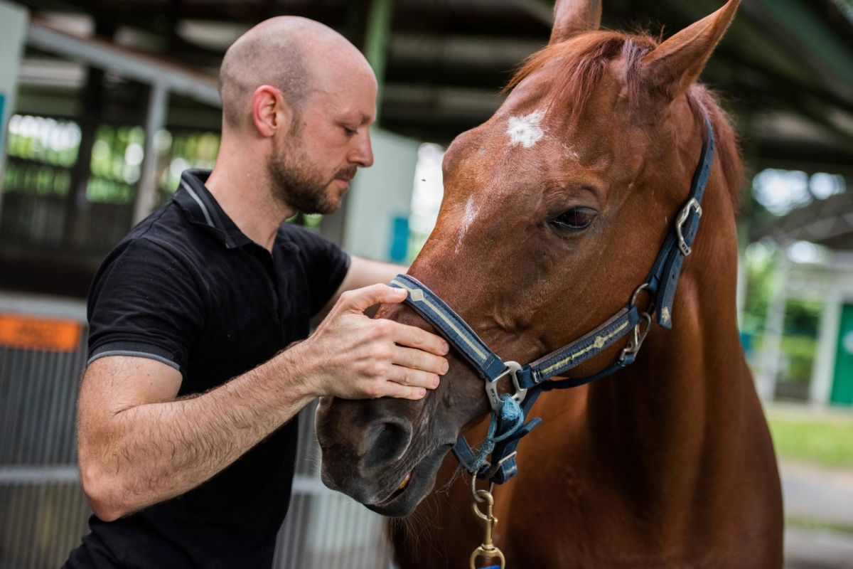 Ridely - The #1 App For Equestrians To Improve Your Riding