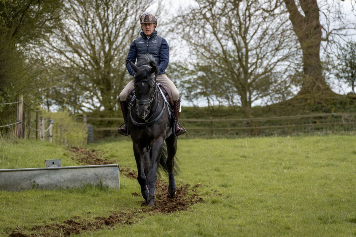 Ridely - The #1 App For Equestrians To Improve Your Riding