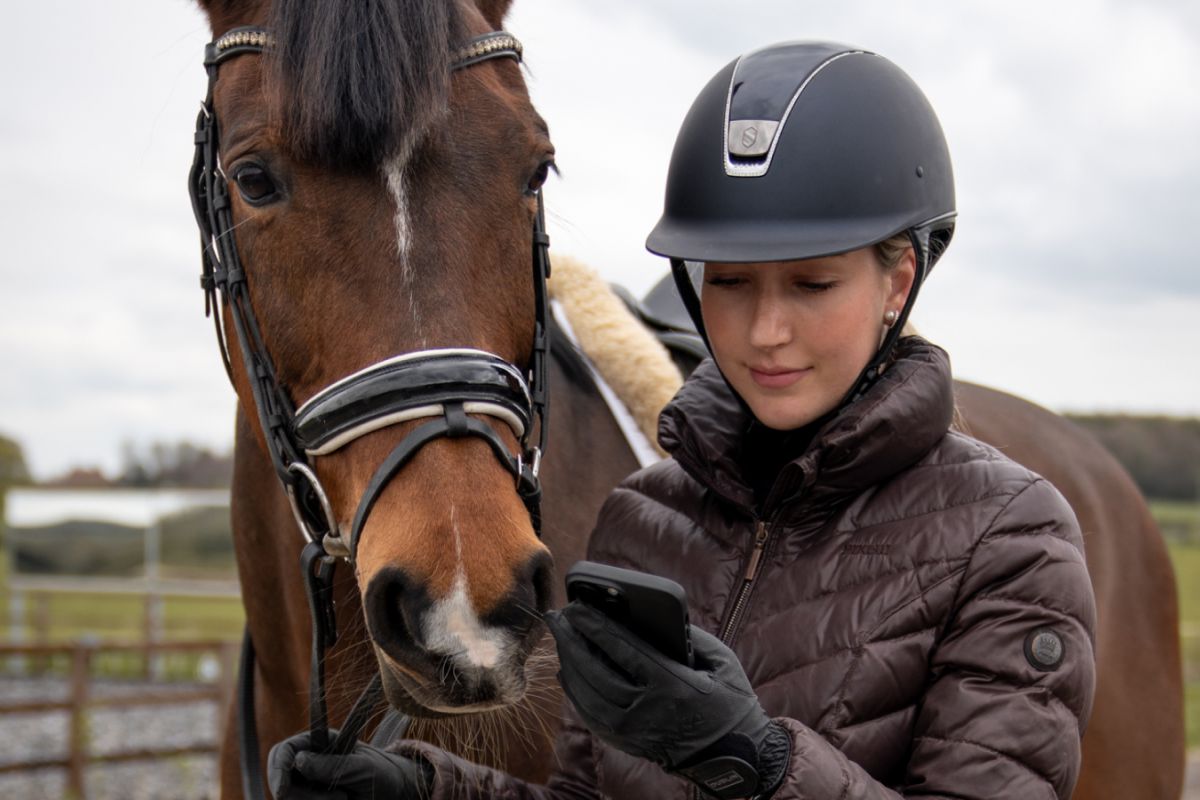 Ridely - The #1 App For Equestrians To Improve Your Riding