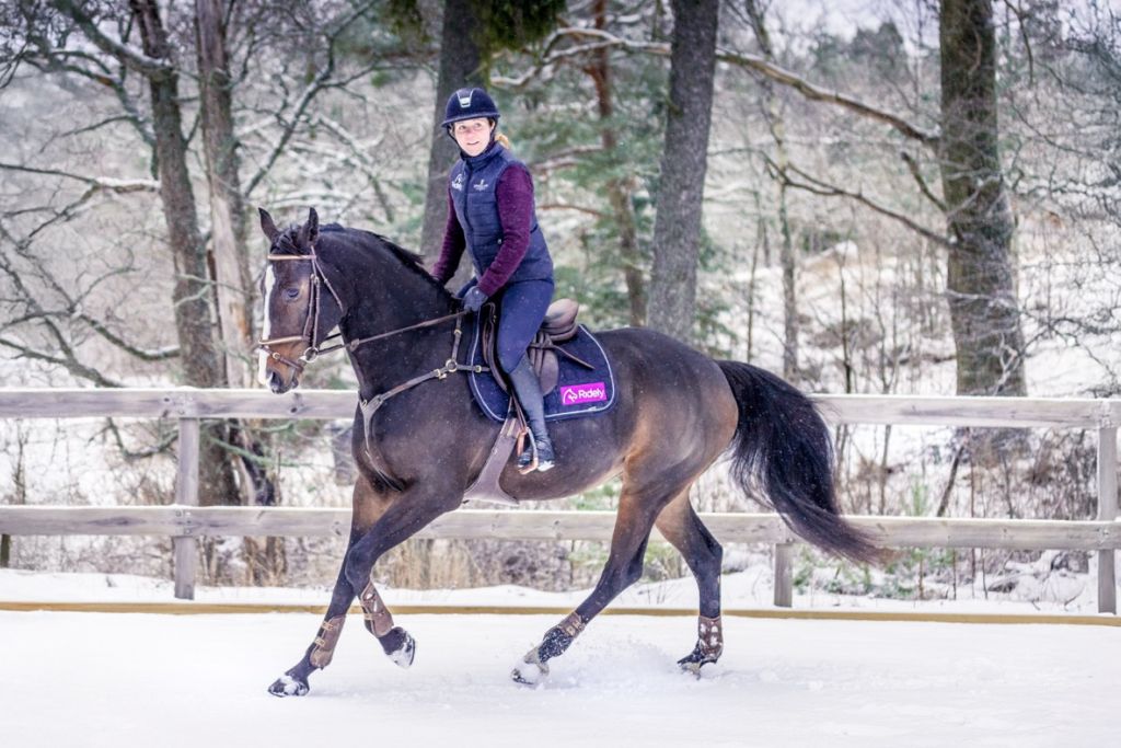 Ridely - The #1 App For Equestrians To Improve Your Riding