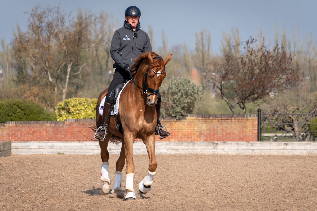 Ridely - The #1 App For Equestrians To Improve Your Riding