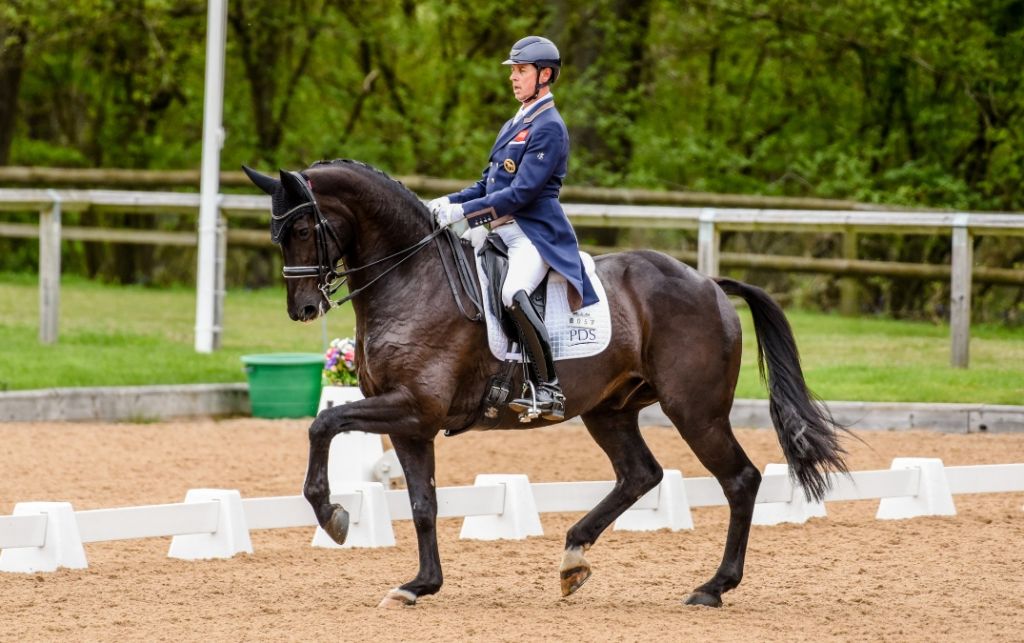 Learn How To Create Dressage Freestyle Music To Make Your Horse Dance ...