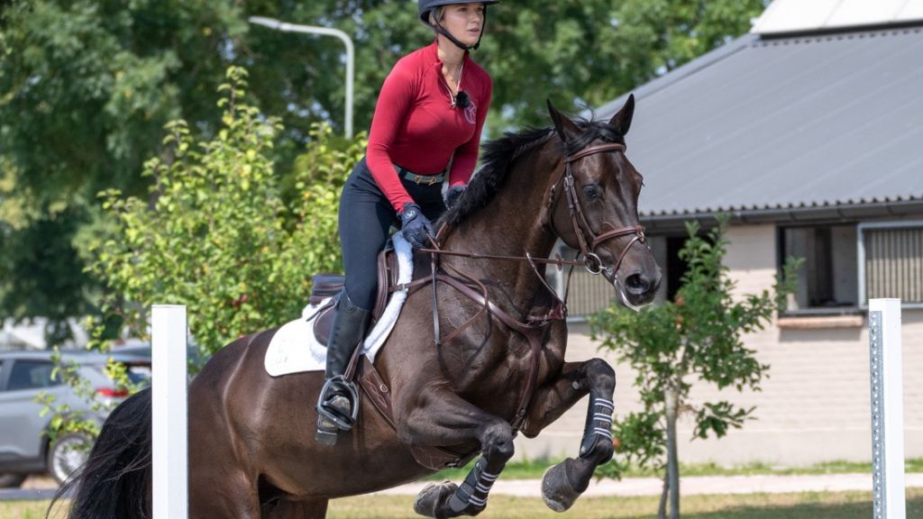 The Key to the Ideal Horse Riding Position: Unlocking the Art of ...