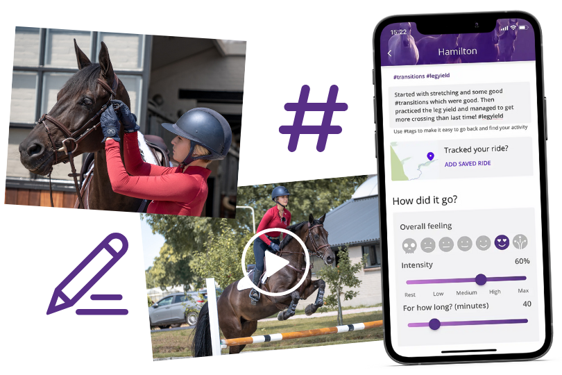 Explore the Amazing Features of the Ridely App