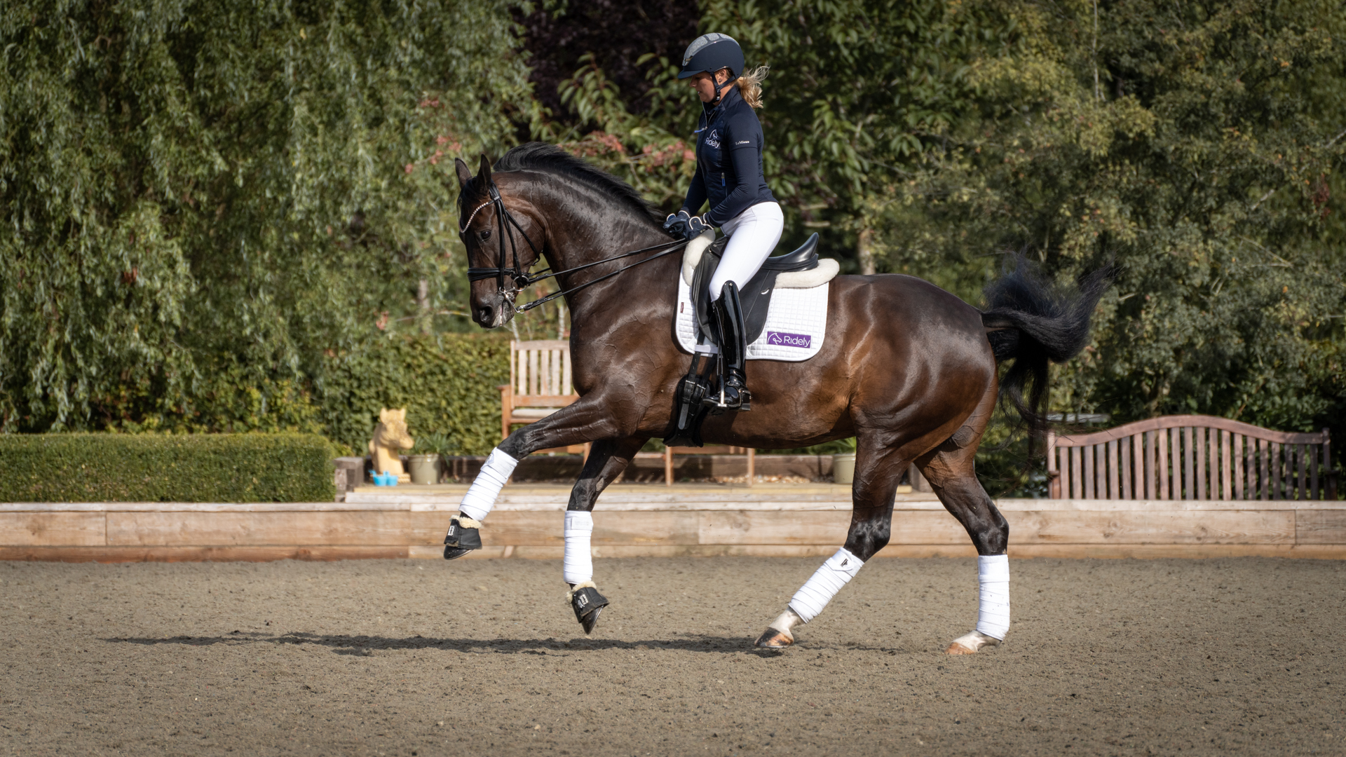 New Carl Hester tutorials are in Ridely and he’s challenging YOU! - Ridely