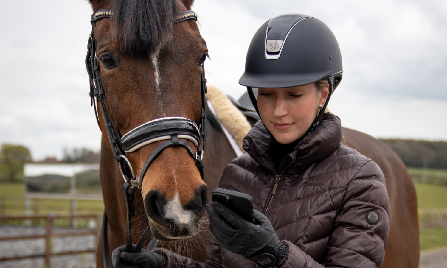 Getting Started with Ridely: A Guide to the Leading Equestrian Training App - Ridely
