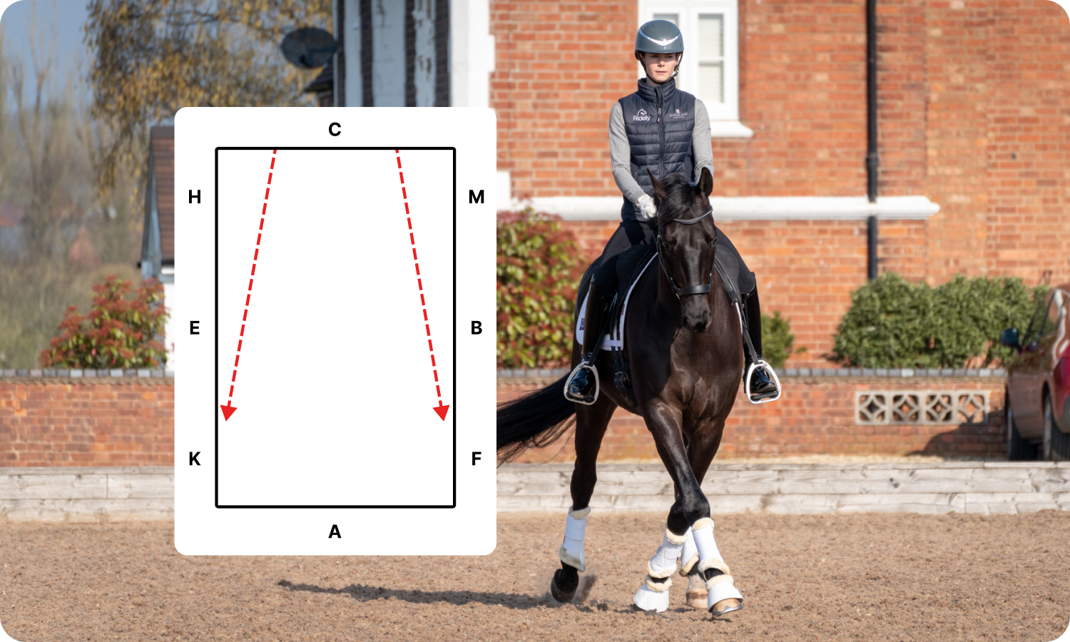 What Is A Leg Yield? How To Ride A Correct Leg Yield - Ridely