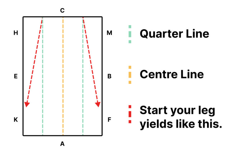 What Is A Leg Yield? How To Ride A Correct Leg Yield - Ridely