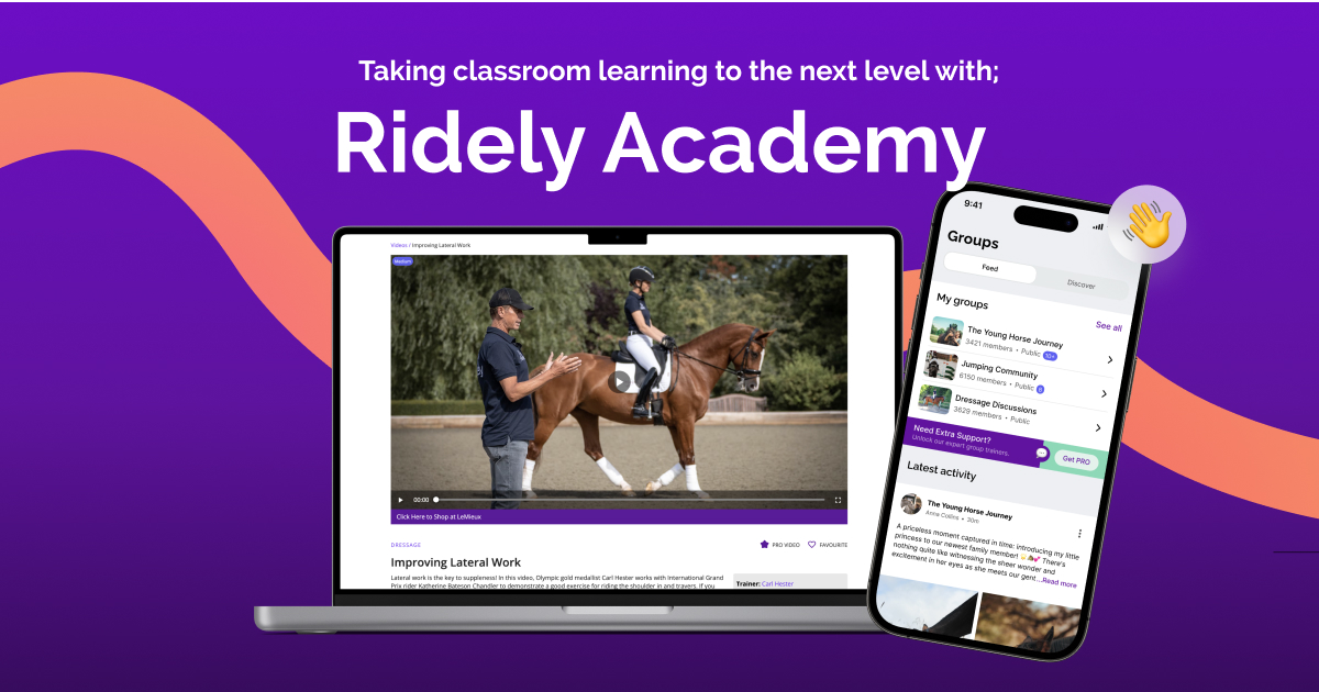 Ridely Academy - Next Level Learning For Your Students 🎓