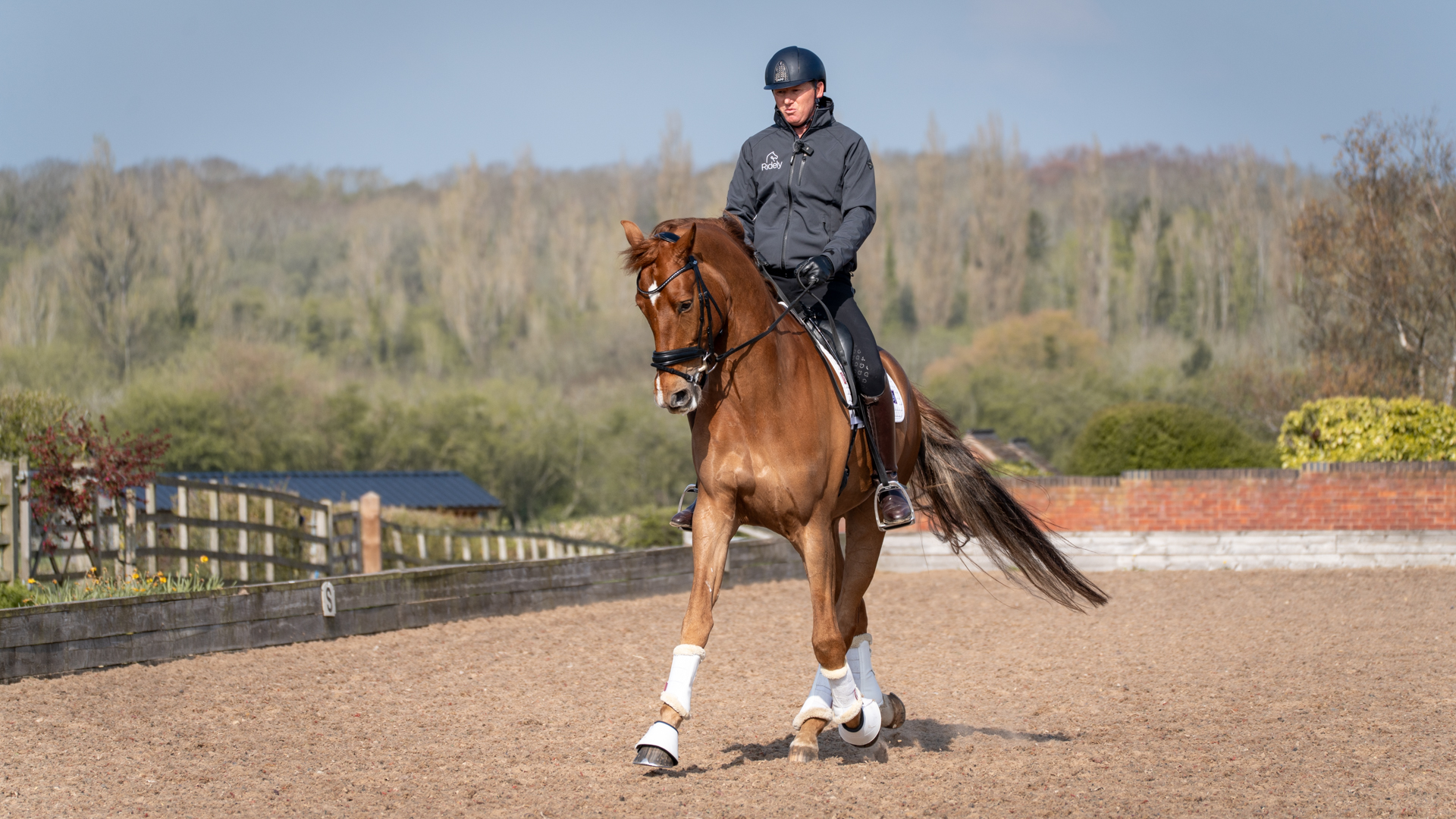 How to Ride Trot Half Pass - Ridely