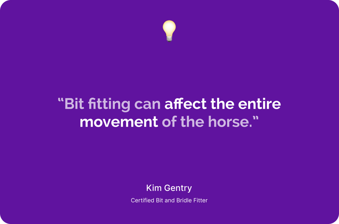 How to Ensure Your Horses’ Bit and Bridle Fit Correctly - Ridely