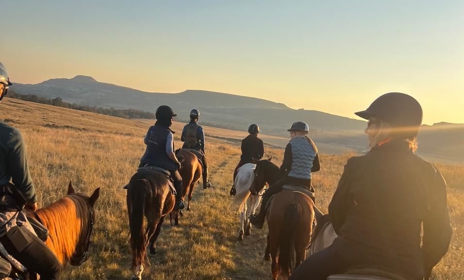 Ridely's New Monthly Trail Ride Challenges - Ridely