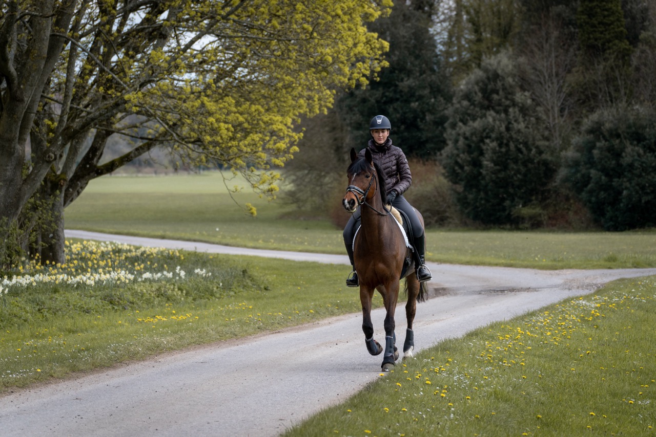 Ridely's New Monthly Trail Ride Challenges - Ridely