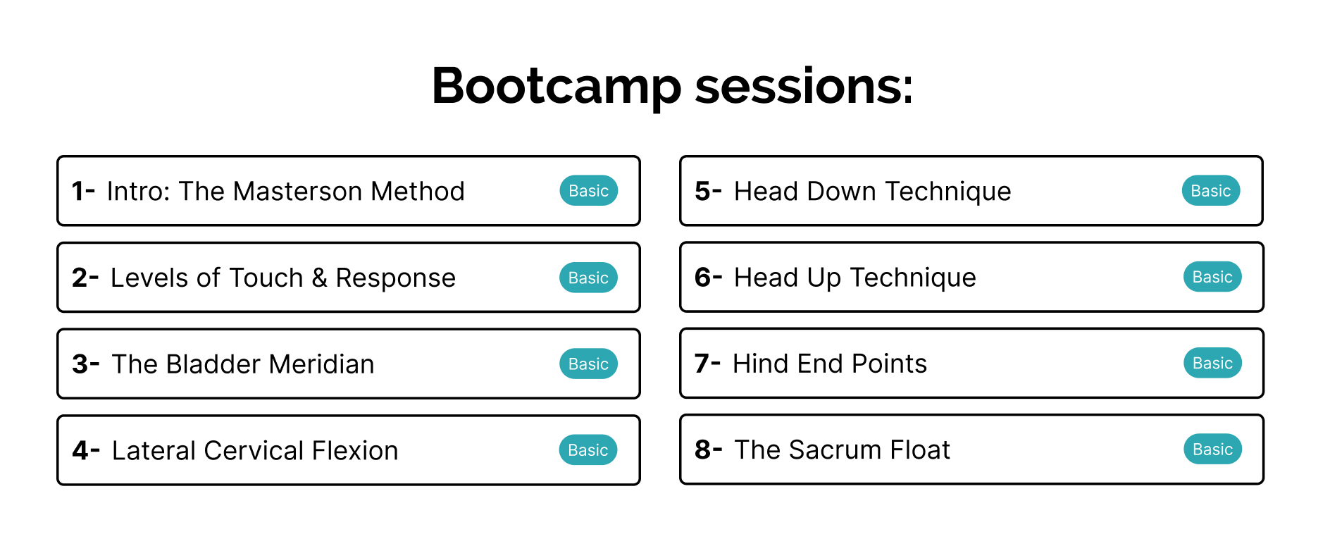 Supporting The Physical and Mental Wellbeing of Your Horse: The ...