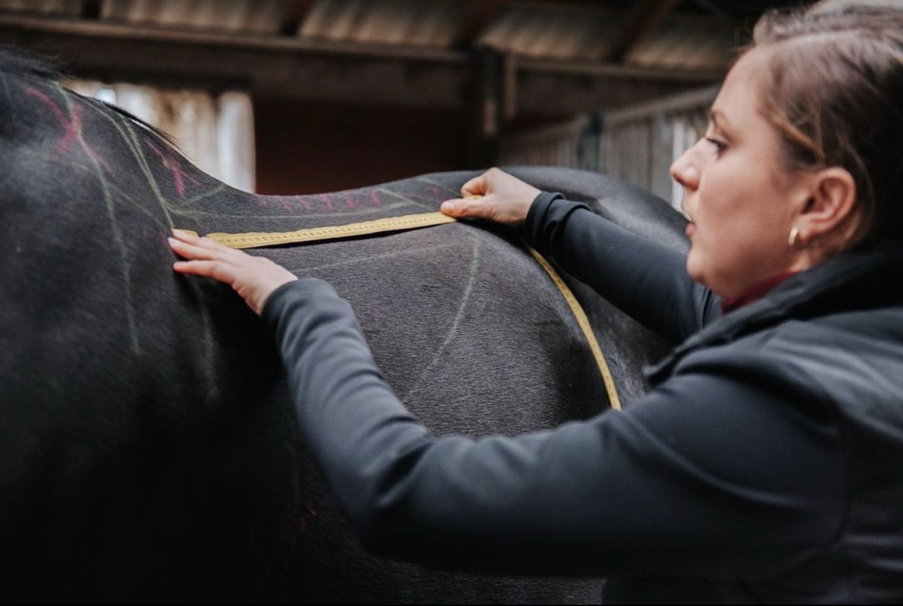 The Ultimate Guide to Saddle Fitting: Enhance Your Horse's Comfort and ...