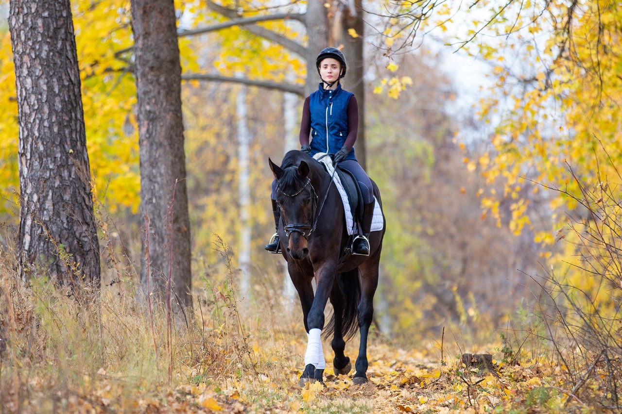 8 Tips to Safely Hack and Trail Ride with Your Horse and Build ...