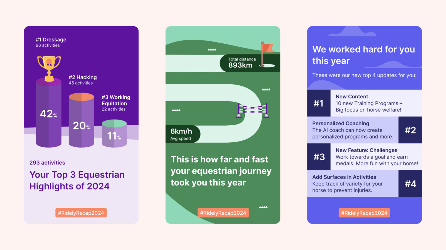 Ridely Recap: Your Year in Review! - Ridely