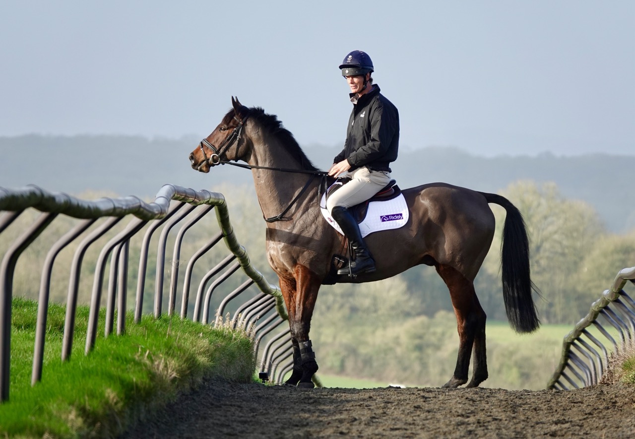 Ridely & British Eventing: Official Partners - Ridely